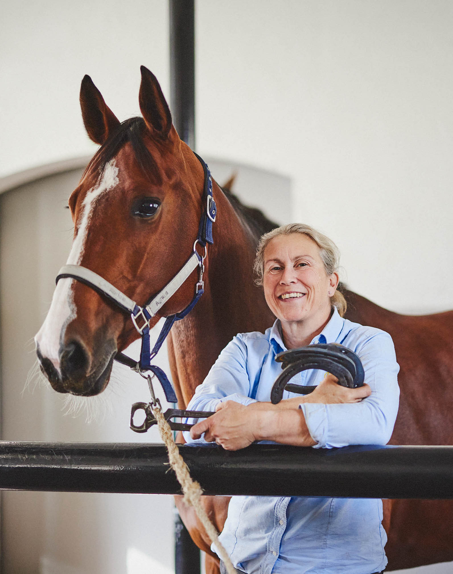 What do you know about hooves and shoes? | Ridesum