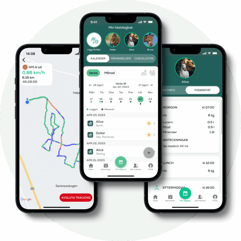 App – Ridesum